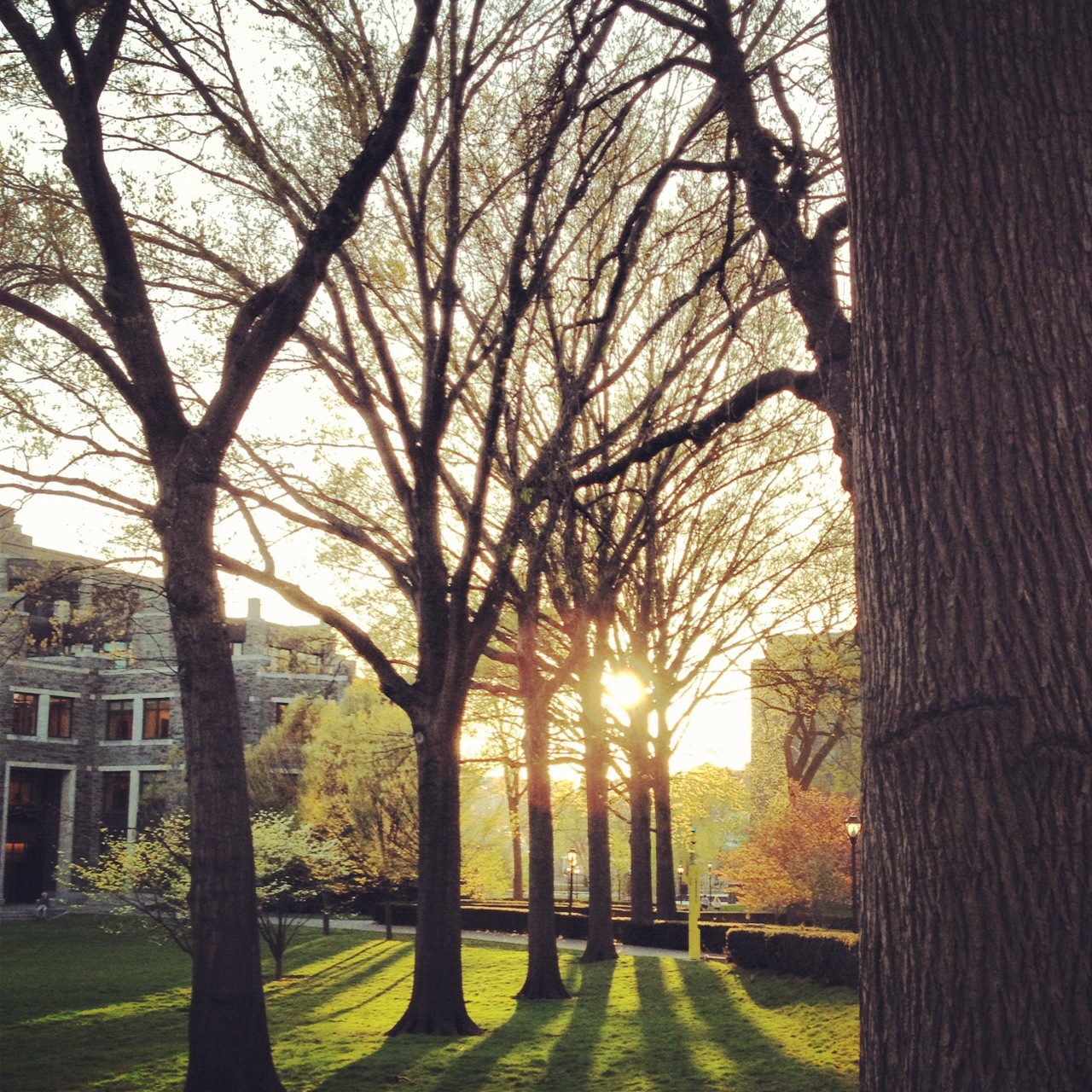 The Perfect Campus: Fordham University – Ross Rambles